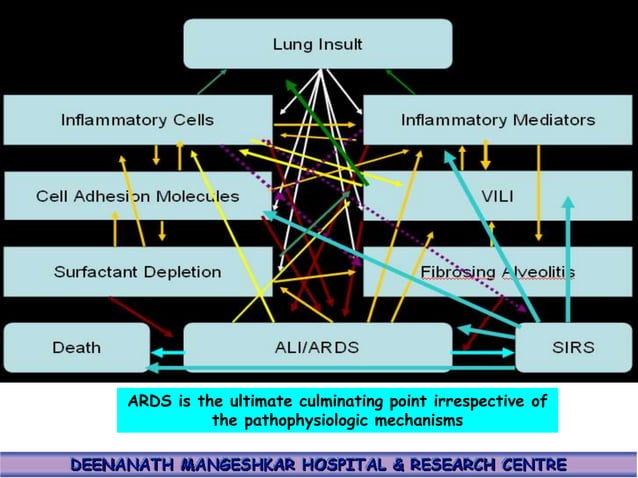 ARDS PATHO PHYSIOLOGY 1.pptx
