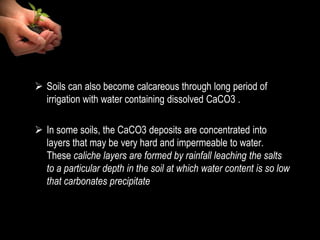 Area And Distribution of Acid soil.pptx