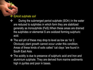 Area And Distribution of Acid soil.pptx