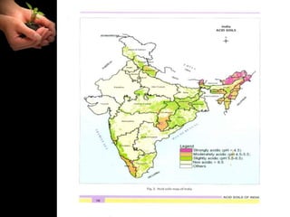 Area And Distribution of Acid soil.pptx