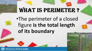 Area and Perimeter.pdf