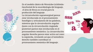 AREA DE BROCA Y DE WERNIKE.pdf