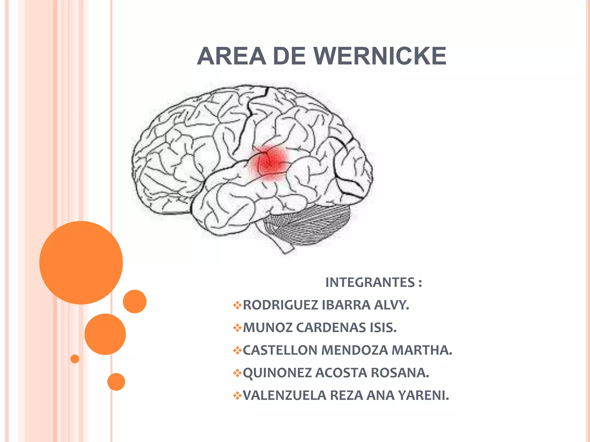 Función y localización del área de Wernicke en el cerebro | PPT