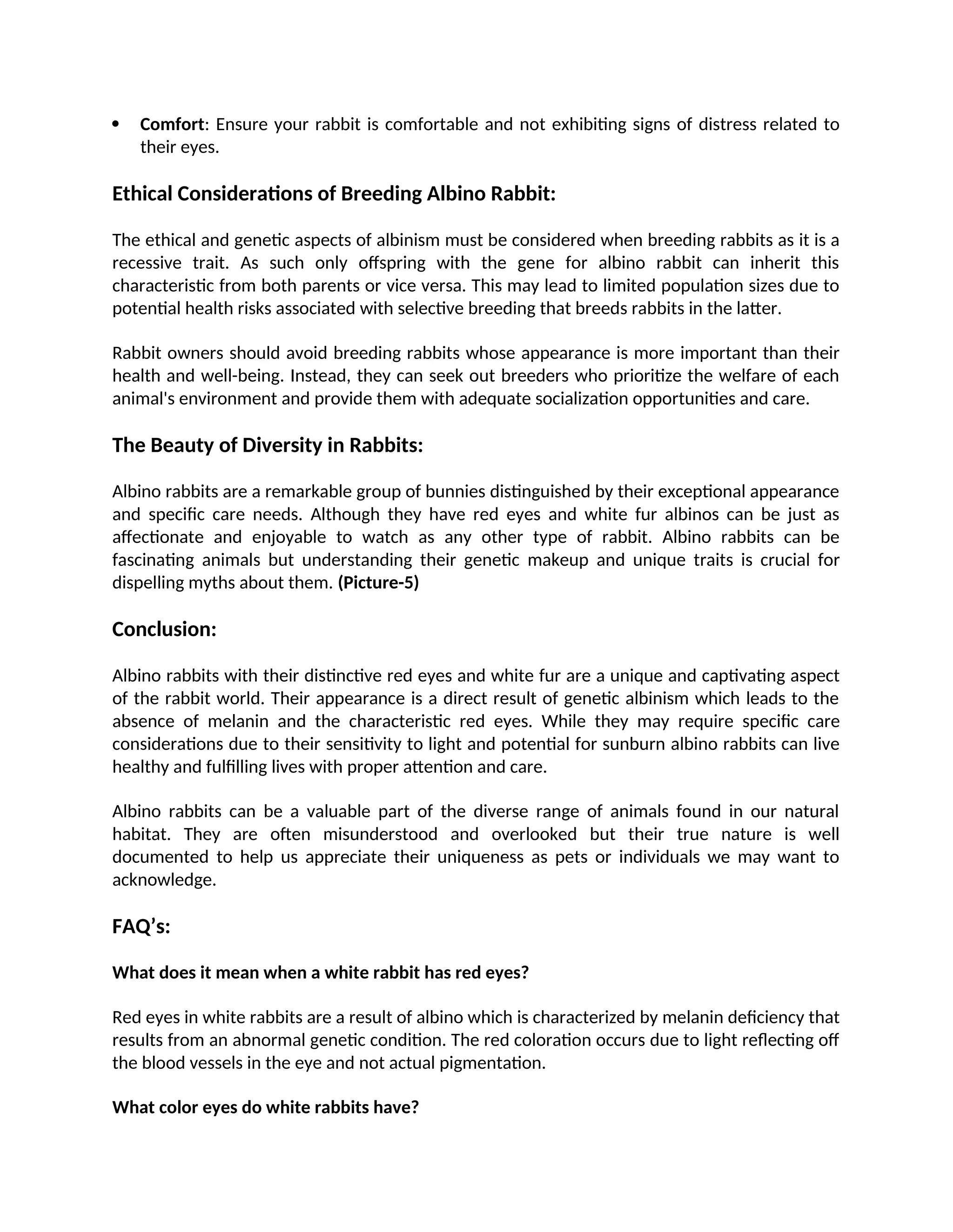 Are Albino Rabbits Red Eyes: Understanding Albino Rabbit Breed | DOCX