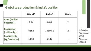 Area,Production and Productivity of Tea.pptx