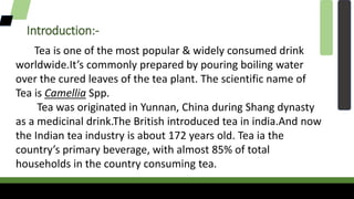 Area,Production and Productivity of Tea.pptx