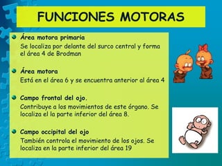 AREAS_DE_BRODMAN.ppt