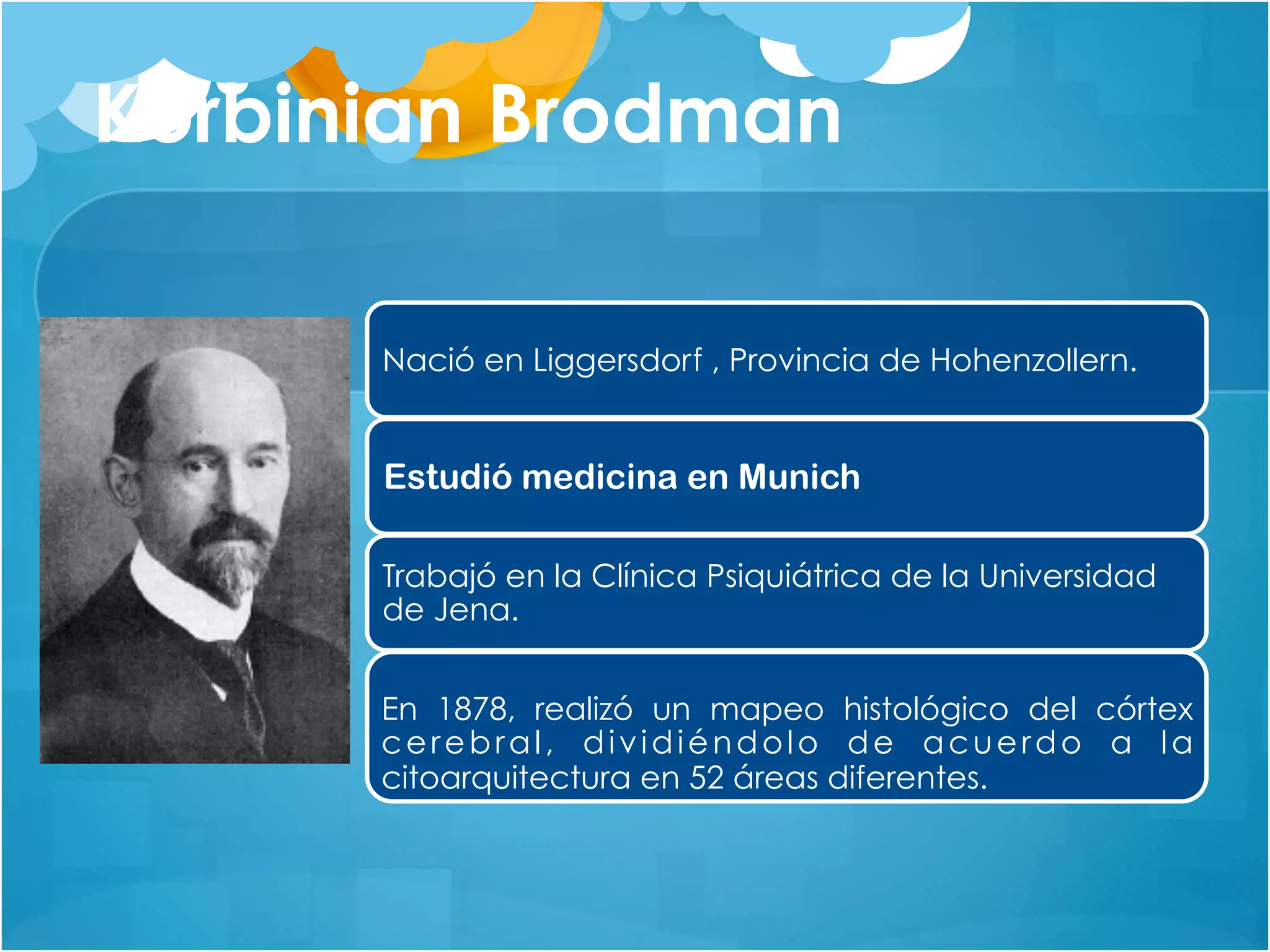 Areas de brodmann completas con descripción | PDF