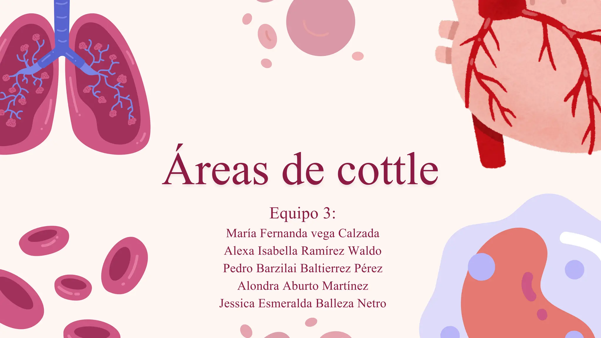 AREAS DE COTTLE - ubicación y utilidad.. | PDF