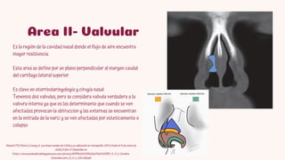 AREAS DE COTTLE - ubicación y utilidad.. | PDF