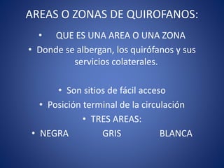 Areas del quirofano | PPTX