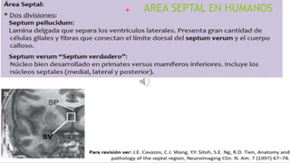 Area septal del sistema limbico | PPT