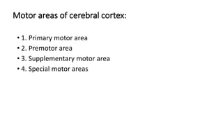areas of cortex.pptx