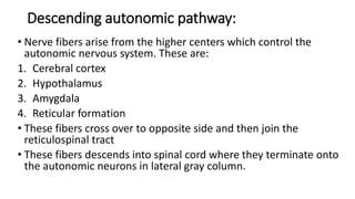 areas of cortex.pptx
