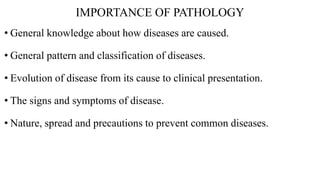AREAS OF PATHOLOGY OR TYPES OF PATHOLOGY OR.pptx