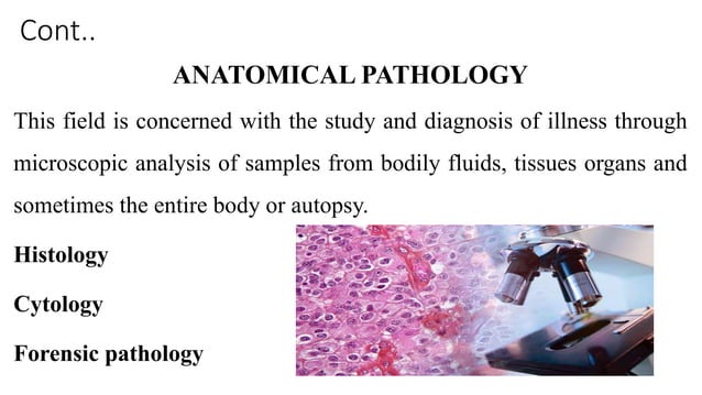 AREAS OF PATHOLOGY OR TYPES OF PATHOLOGY OR.pptx | Diseases and Conditions | Medical Health