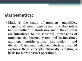 Areas of Study Links in Montessori | PPT