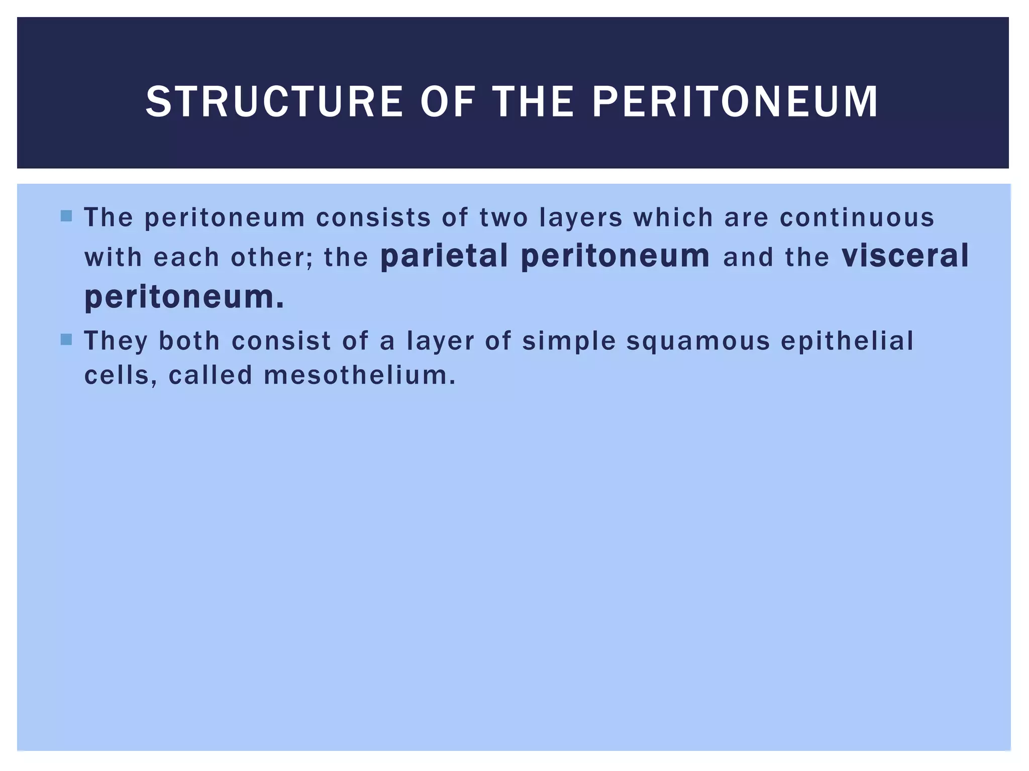 Areas of the abdomen | PPTX
