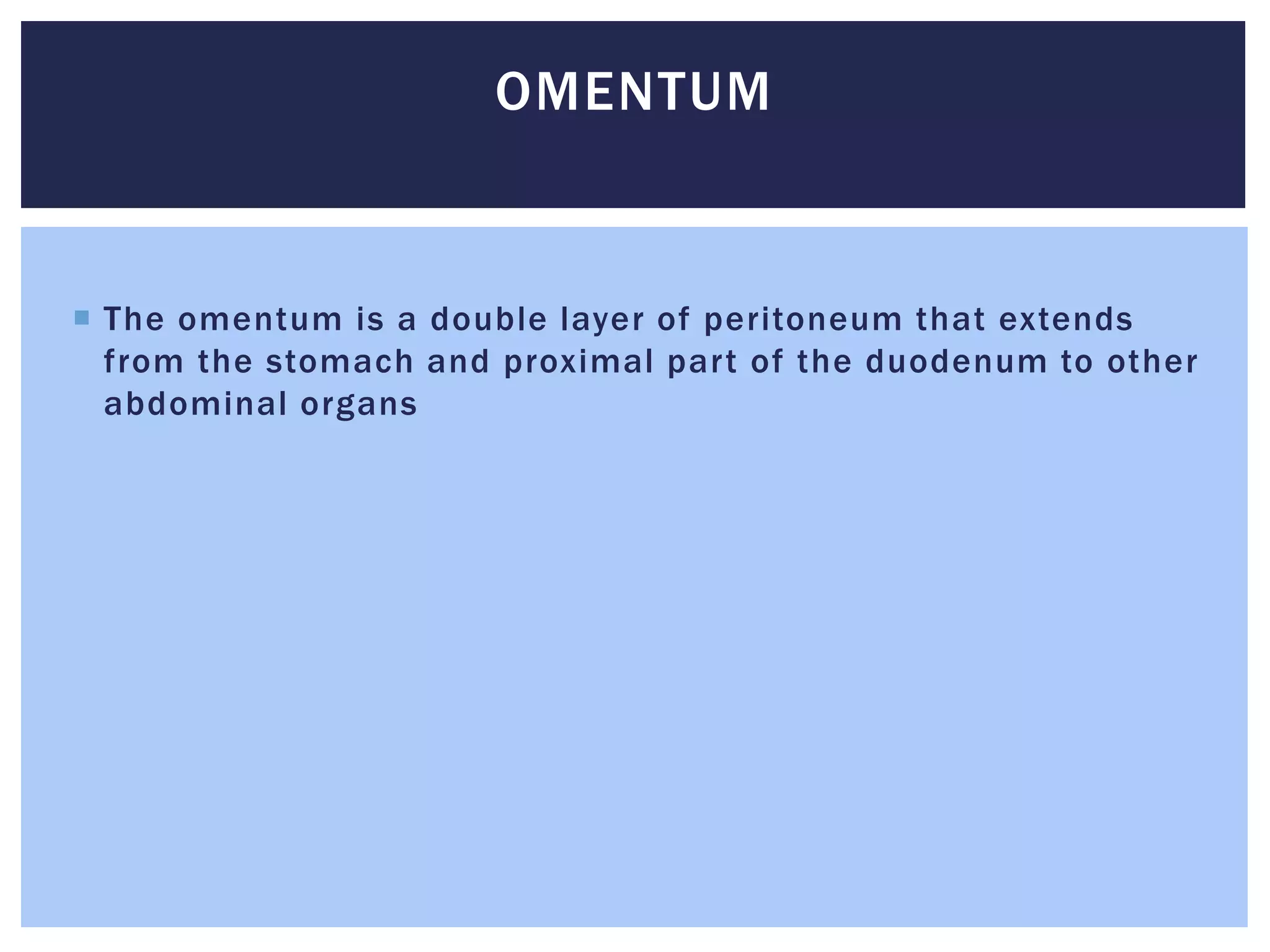 Areas of the abdomen | PPTX