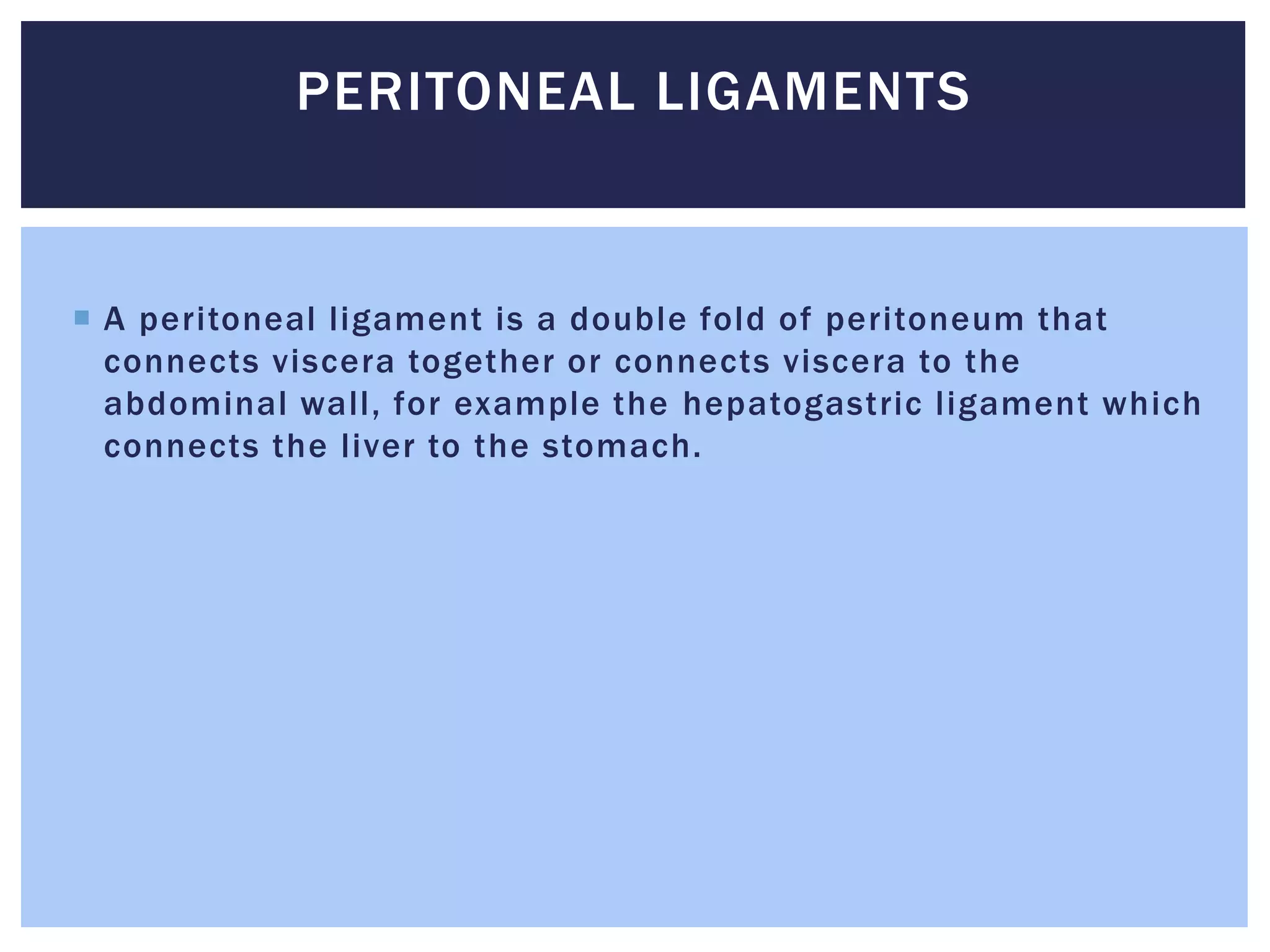 Areas of the abdomen | PPTX