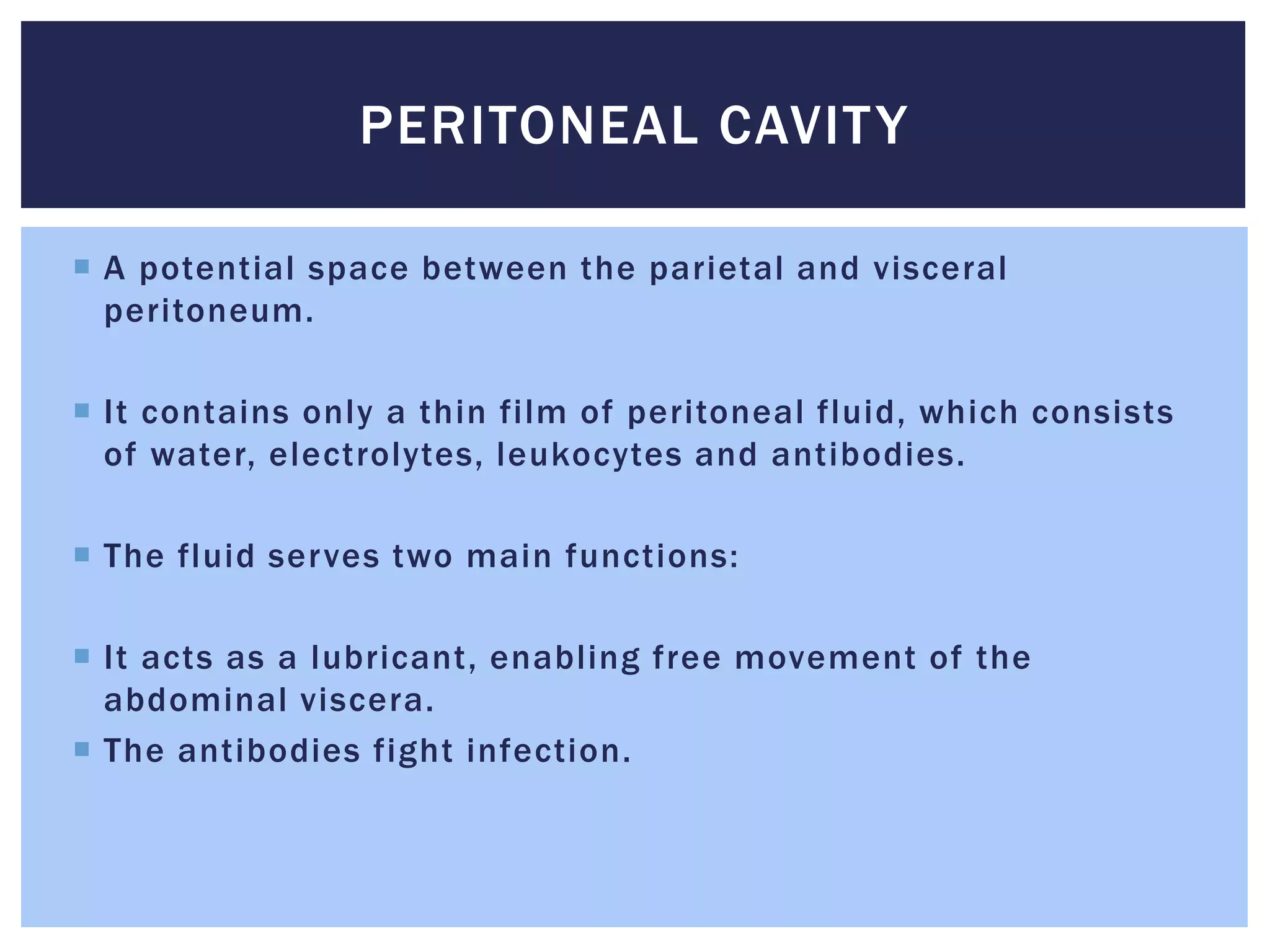 Areas of the abdomen | PPTX