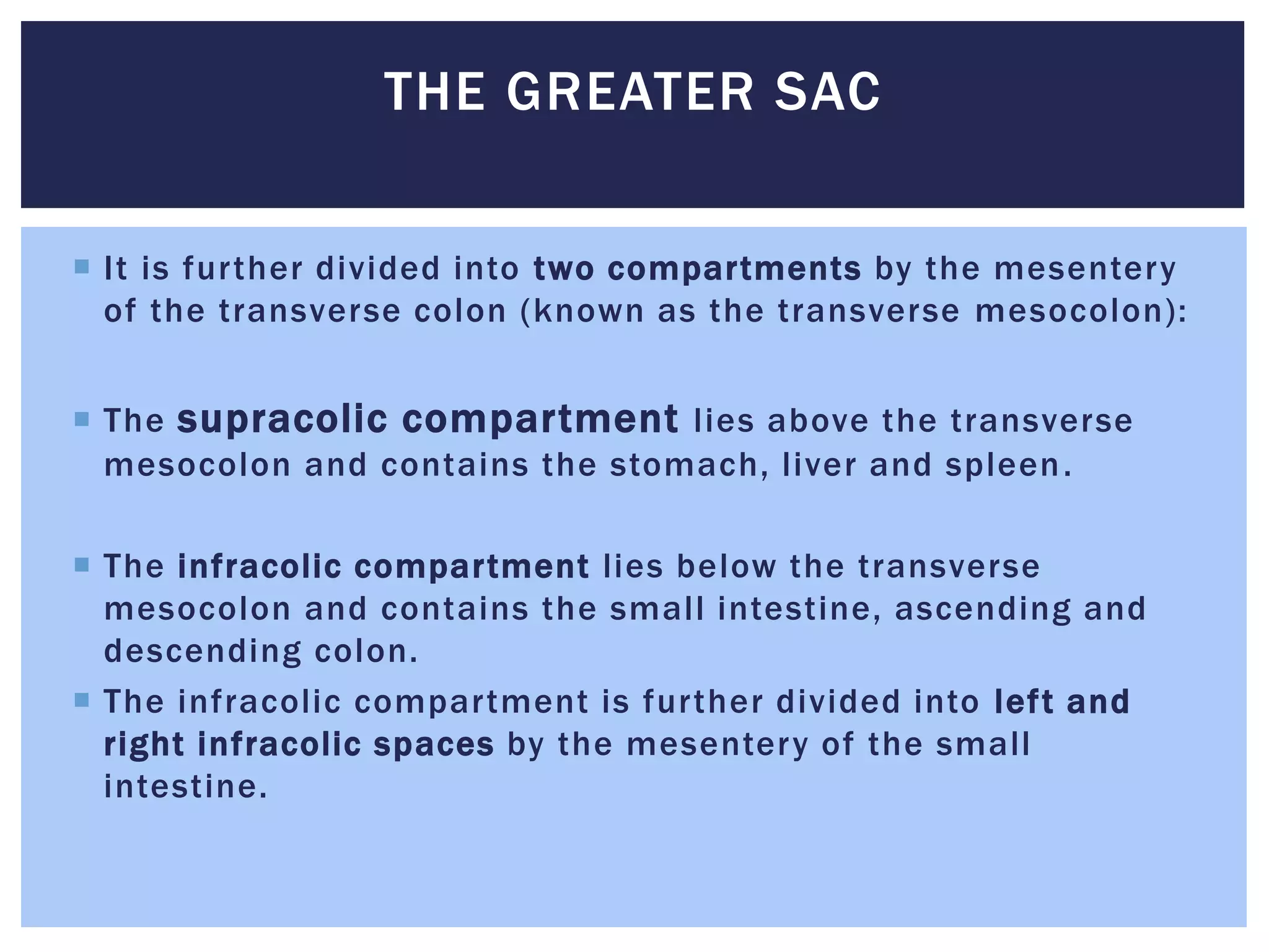 Areas of the abdomen | PPTX