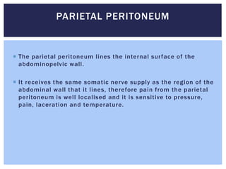 Areas of the abdomen | PPTX