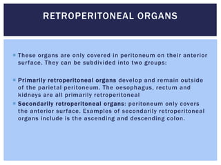 Areas of the abdomen | PPTX