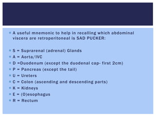 Areas of the abdomen | PPTX