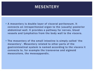 Areas of the abdomen | PPTX