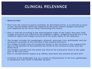 Areas of the abdomen | PPTX