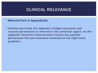 Areas of the abdomen | PPTX