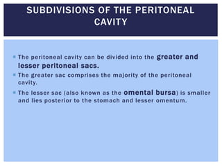 Areas of the abdomen | PPTX
