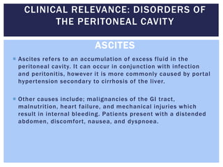 Areas of the abdomen | PPTX