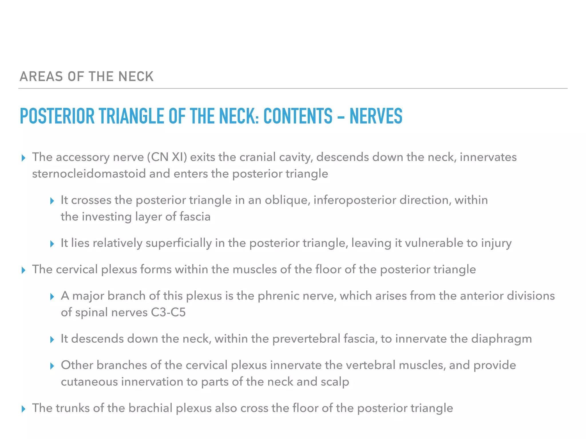 Areas of the neck | PPT
