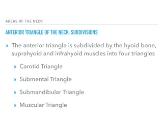 Areas of the neck | PDF