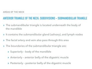 Areas of the neck | PDF