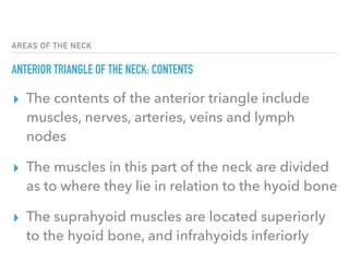 Areas of the neck | PDF