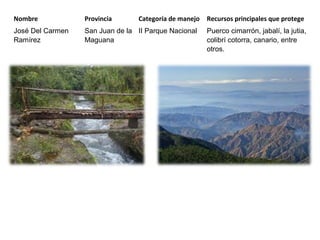 Áreas protegidas matriz. | PPT