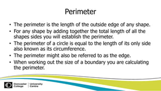Areas, shapes and perimeters | PPTX