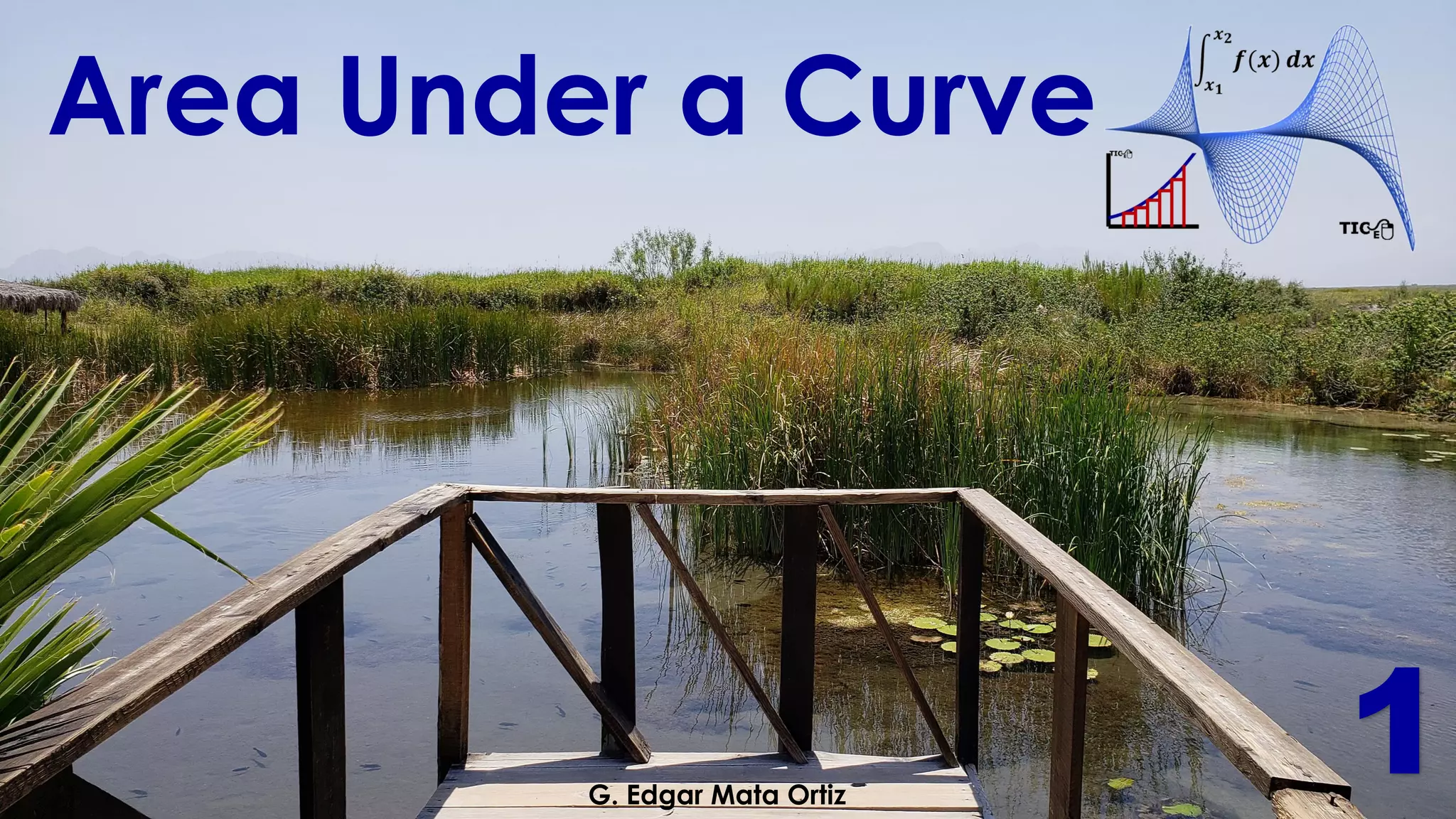 Area under curve 01 | PDF