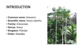 production technology of arecanut slide. | PPTX