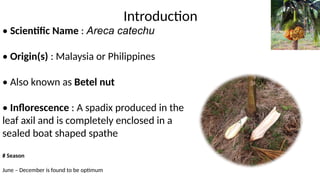 Arecanut Areca catechu Linn. is commonly known as arecanut or betel nut ...