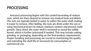 Production Technology Of ARECANUT ...... | PPTX