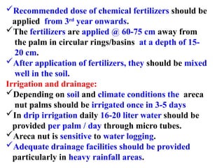 Areca nut production methods and fertilizer application | PPTX