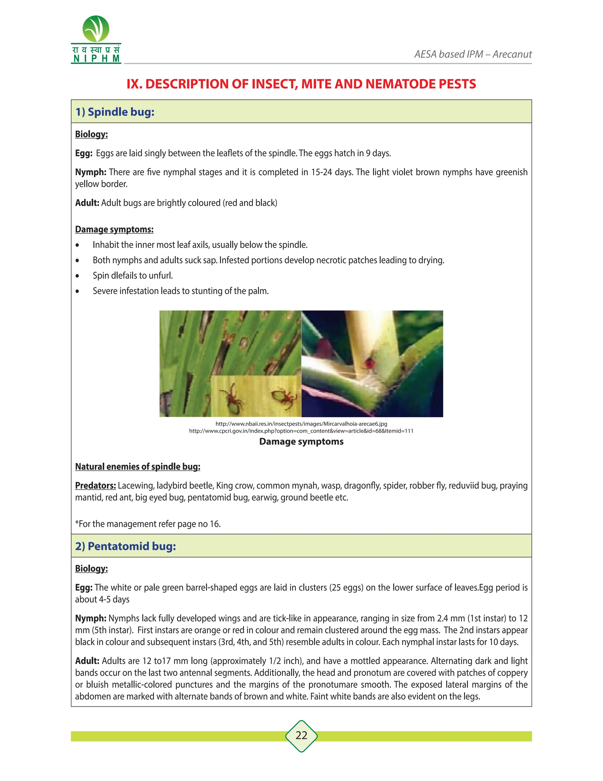 arecanut Integrated pest and disease management | PDF