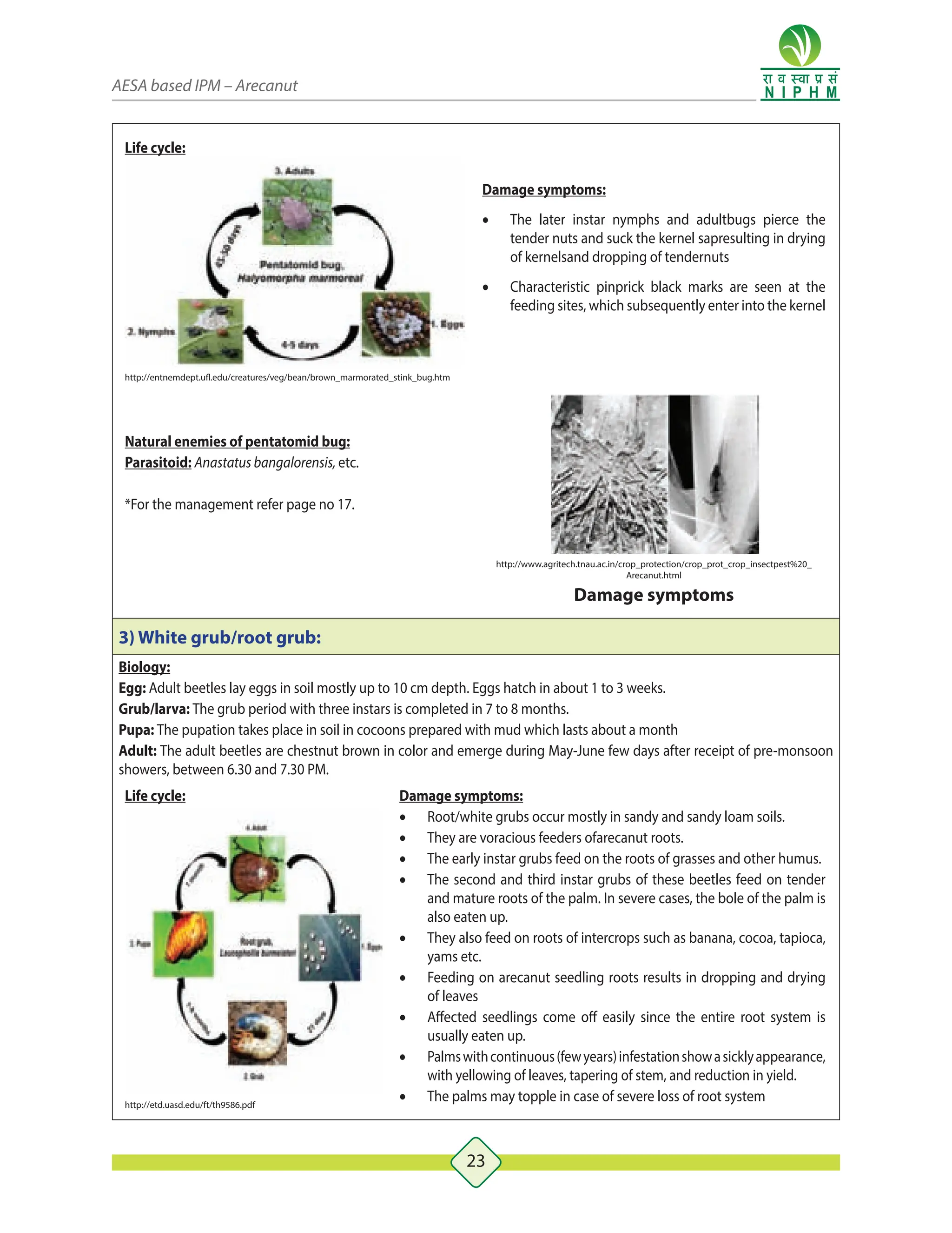 arecanut Integrated pest and disease management | PDF