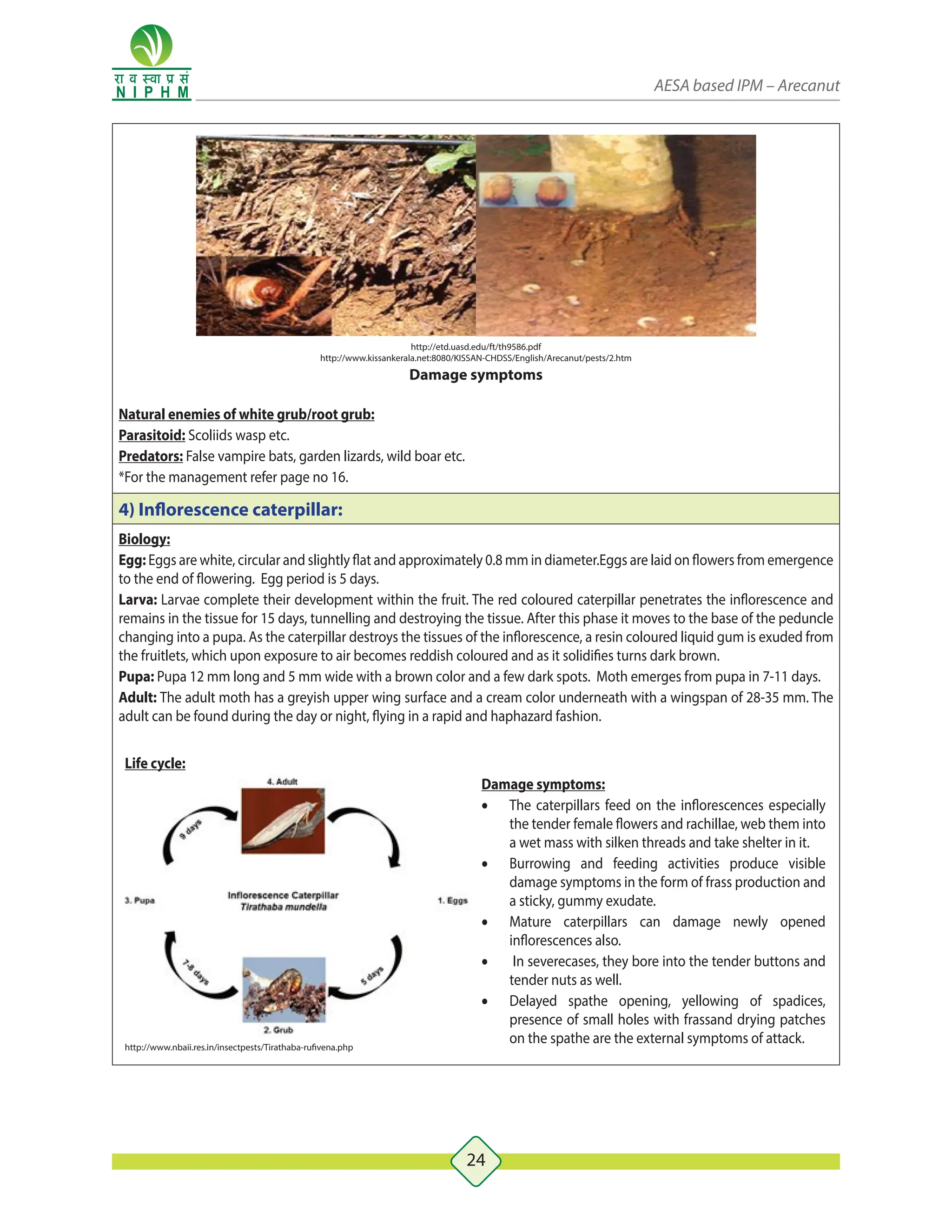 arecanut Integrated pest and disease management | PDF