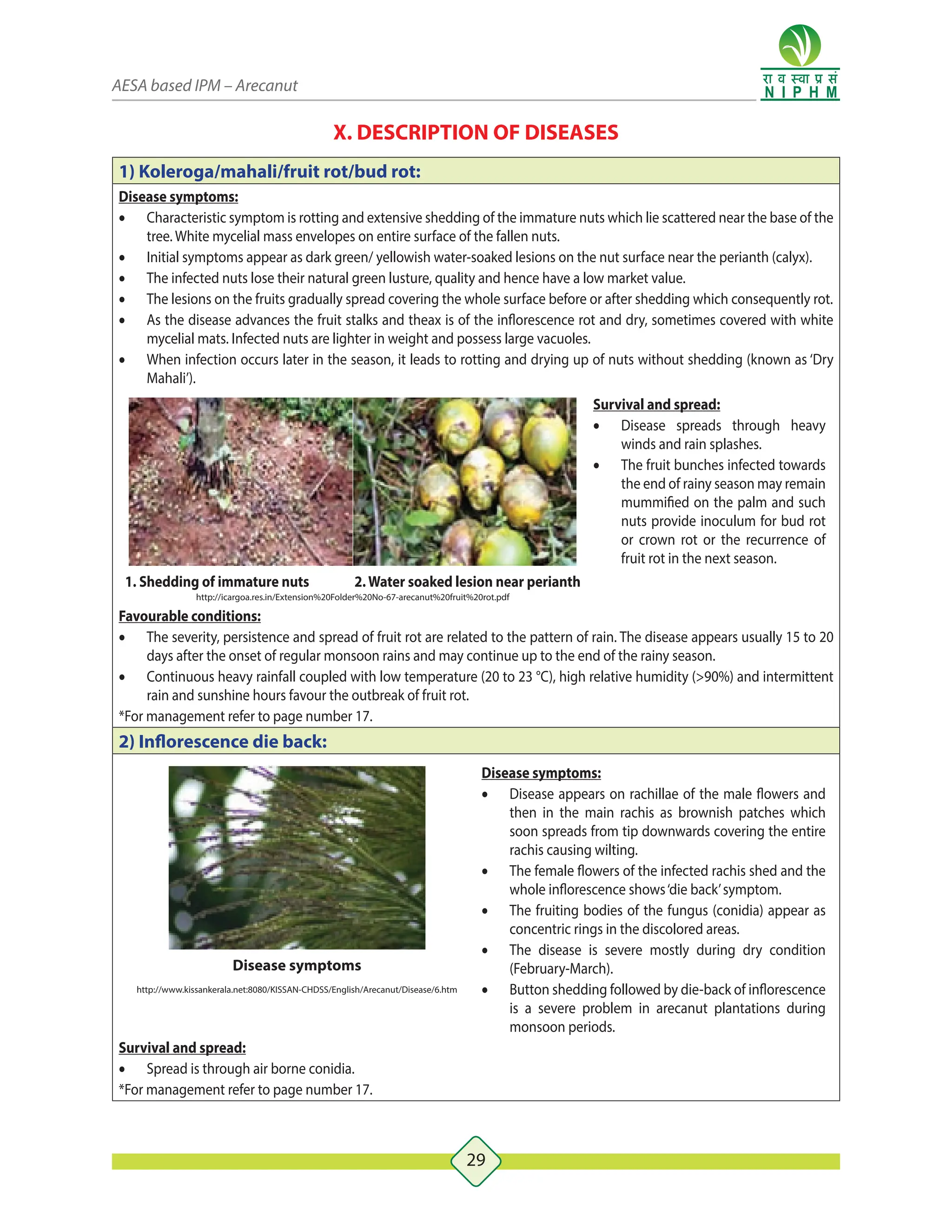 arecanut Integrated pest and disease management | PDF