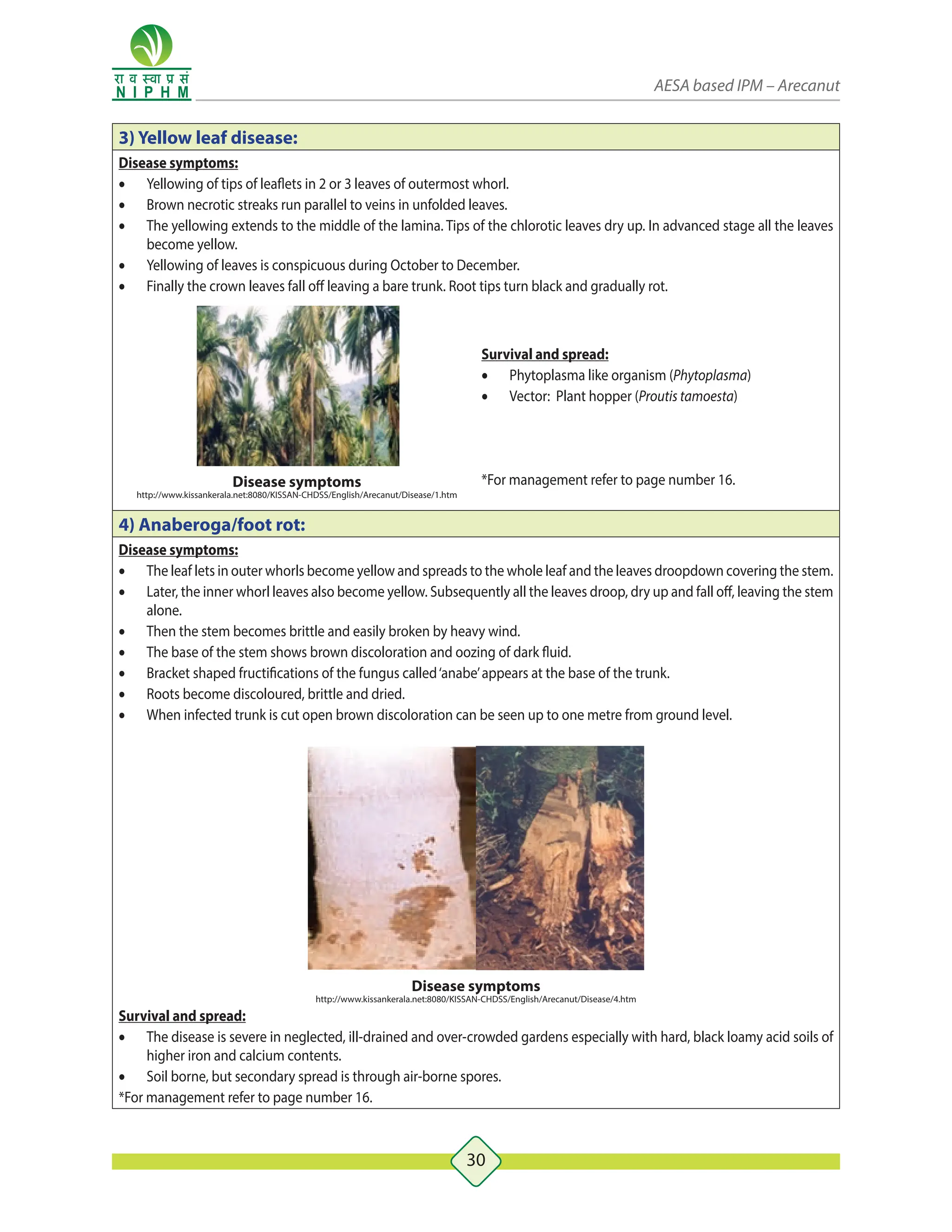 arecanut Integrated pest and disease management | PDF